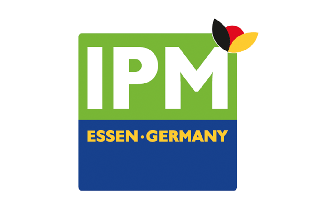 IPM 2020 - Advanced Intelligent Systems (AIS)